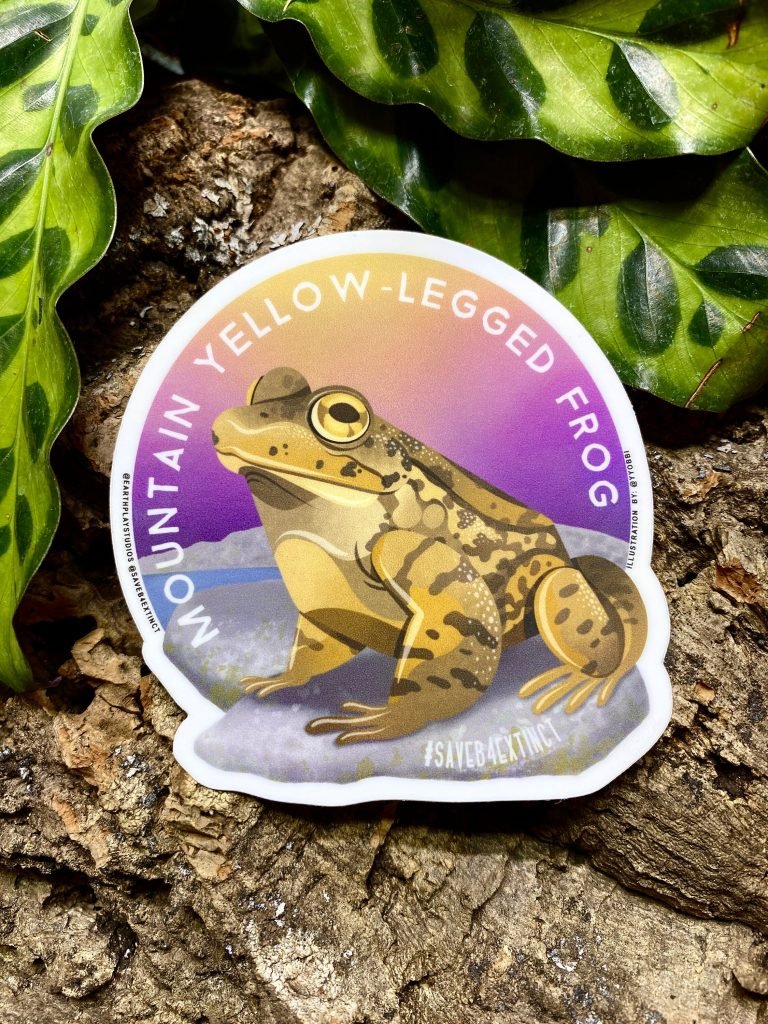 What is an RV Toad: A Comprehensive Guide - AMPHIPEDIA