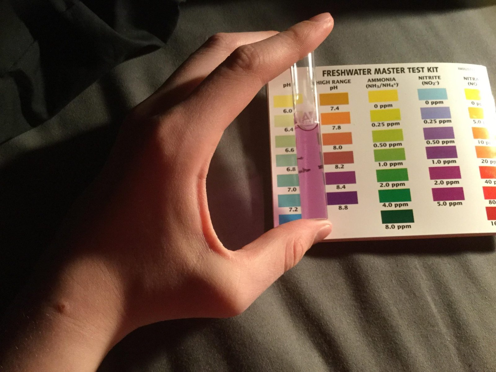 Axolotl Ph Level - AMPHIPEDIA